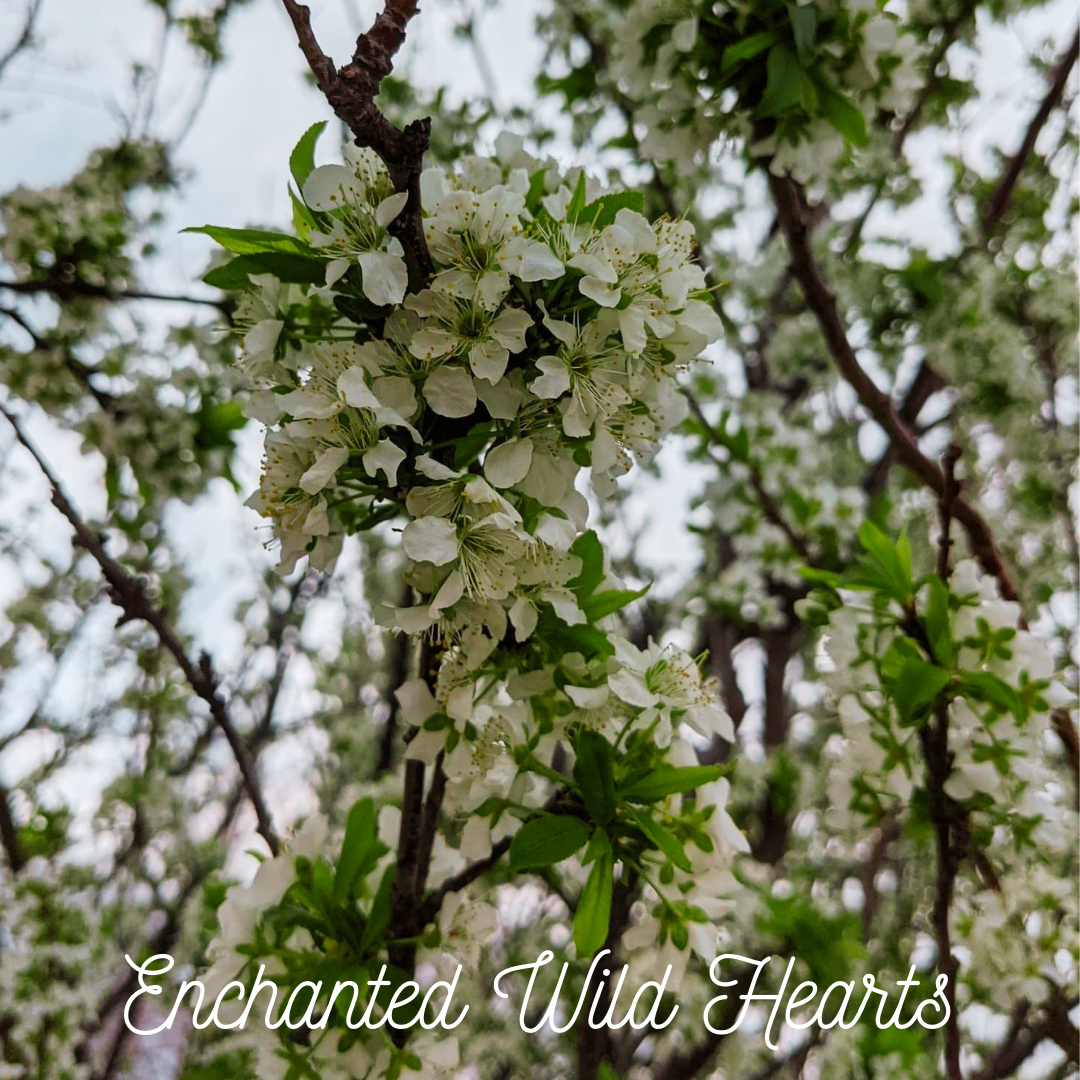 Enchanted Wild Hearts - Life’s Luminescent Garden